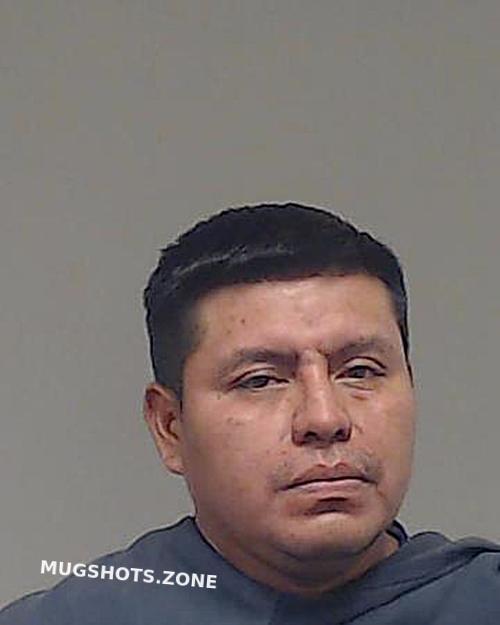 RAMIREZ-VASQUEZ OTTO 01/25/2024 - Collin County Mugshots Zone
