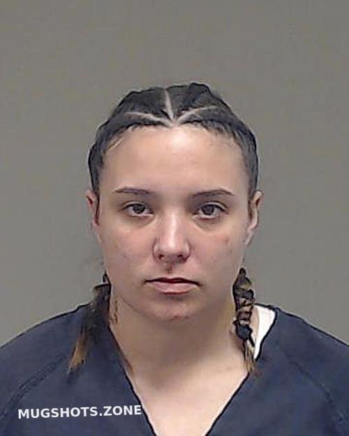 SANDERS RUSTIE ANN 02/02/2024 - Collin County Mugshots Zone