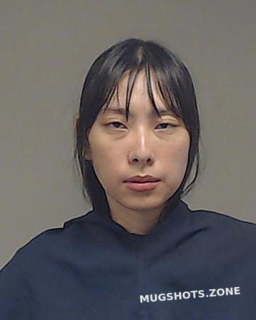 YIN SHAN 02/02/2024 - Collin County Mugshots Zone