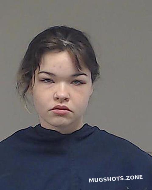 RAY ROBIN LEE 02/19/2024 - Collin County Mugshots Zone