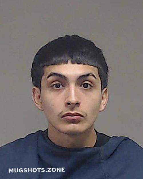 Lozano Luis Angel 02212024 Collin County Mugshots Zone