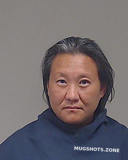 LU LU 03/08/2024 - Collin County Mugshots Zone