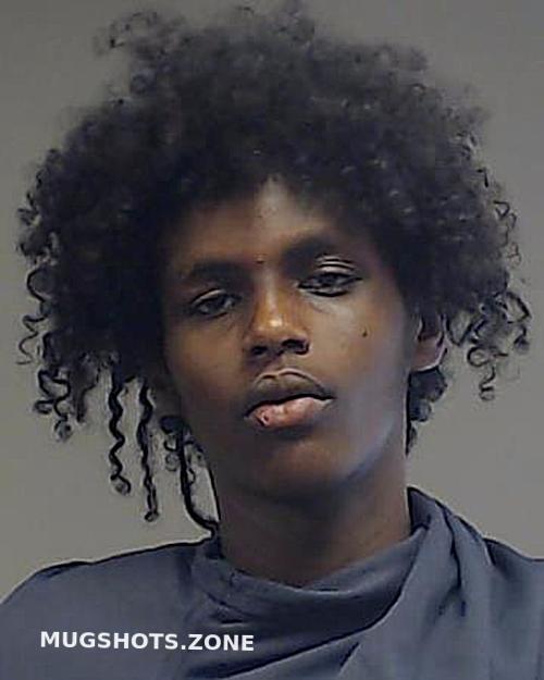BALKER AFRAN SHEMSU 05/23/2024 - Collin County Mugshots Zone