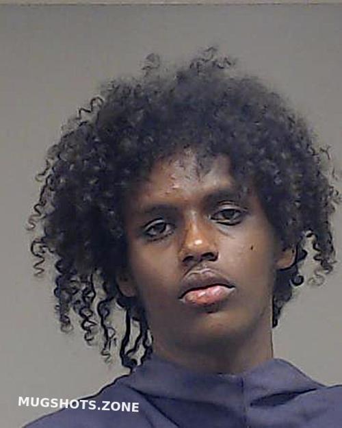 BALKER AFRAN SHEMSU 06/26/2024 - Collin County Mugshots Zone