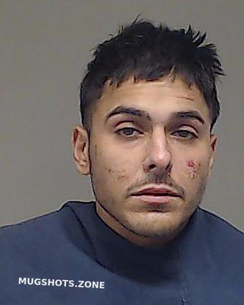 NICHELOS BABY BOY 07/04/2024 - Collin County Mugshots Zone