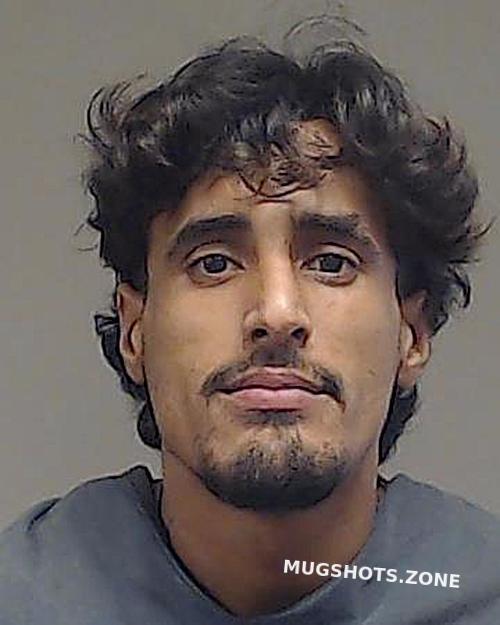 ROMERO-ORTEGA NELSON 07/29/2024 - Collin County Mugshots Zone