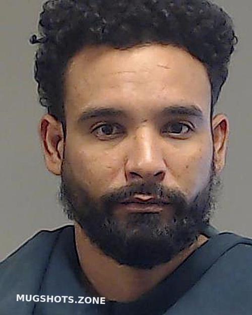 VILLEGAS-PANEQUE JORGE TOMAS 08/08/2024 - Collin County Mugshots Zone