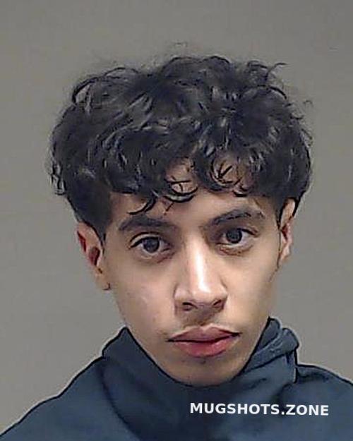 MUHSEN HASSAN HAITHAM 08/18/2024 - Collin County Mugshots Zone
