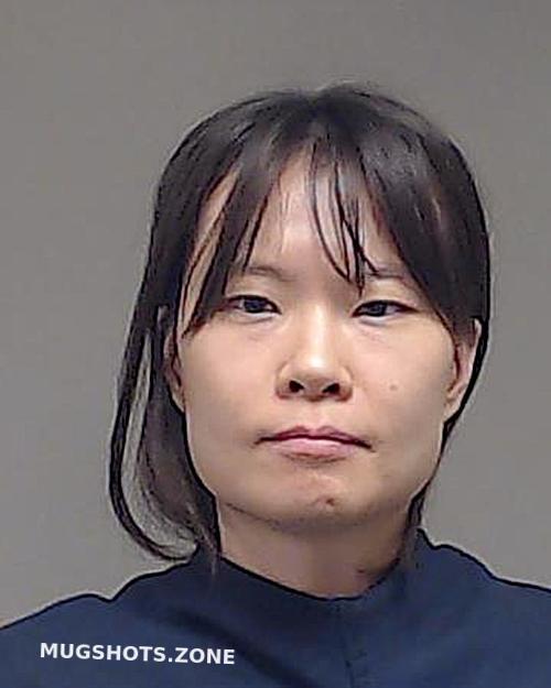 LU YIN 08/29/2024 - Collin County Mugshots Zone