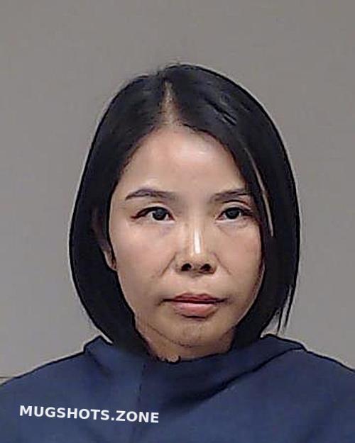 LI YAN 10/02/2024 - Collin County Mugshots Zone