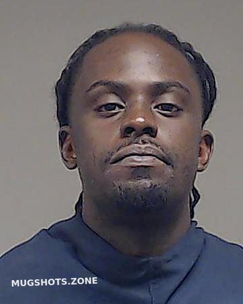 DAVIS LAPARIS LASHAUN 10/17/2024 - Collin County Mugshots Zone