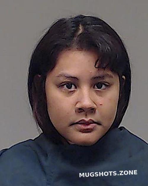 DANG LYBBIE 10/20/2024 - Collin County Mugshots Zone