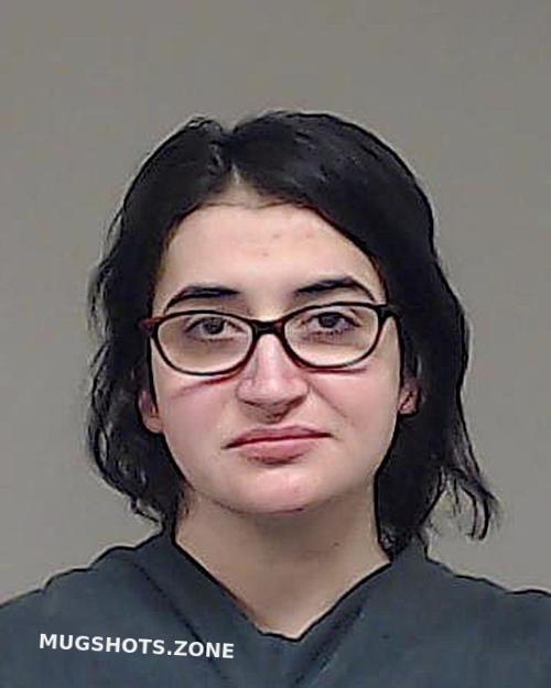 SCHIELE ELIZABETH MICHELLE 10/22/2024 - Collin County Mugshots Zone