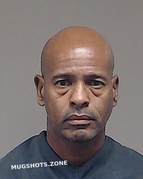 JOHNSON TORREY LESLIE 10/29/2024 - Collin County Mugshots Zone