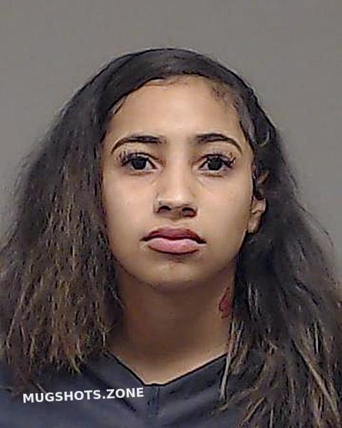 GEORGE TRINITY AMEIA ALESIE 11/06/2024 - Collin County Mugshots Zone
