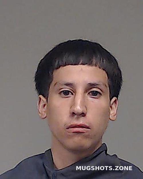 CASTILLO ROMAN MIGUEL 11/10/2024 - Collin County Mugshots Zone