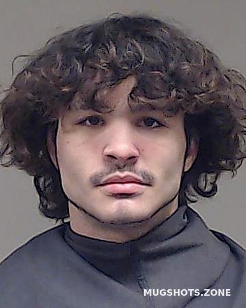 DANZI MARIO MICHAEL 11/19/2024 - Collin County Mugshots Zone
