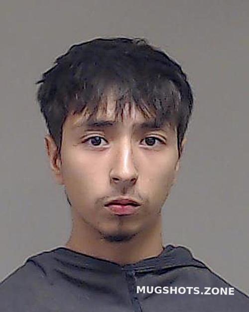 SILVA GAMEZ FELIX 11/19/2024 - Collin County Mugshots Zone