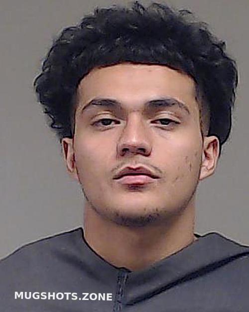 CASTILLO JODY JOE 11/19/2024 - Collin County Mugshots Zone