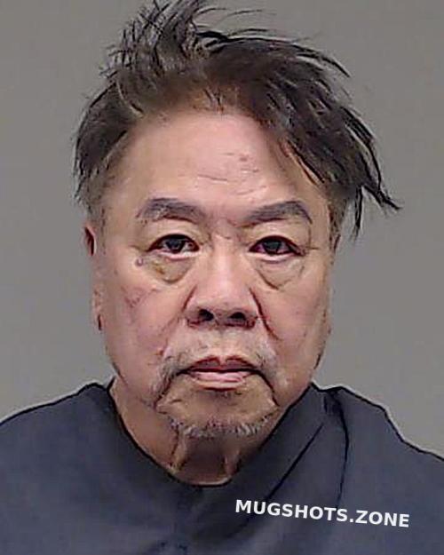 LUU NAM KHANG 11/20/2024 - Collin County Mugshots Zone
