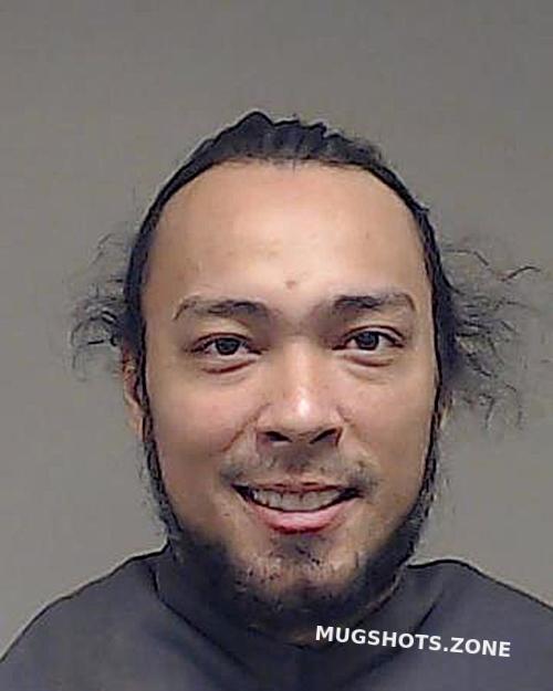 MILAN SYNECA ROBERT 11/24/2024 - Collin County Mugshots Zone