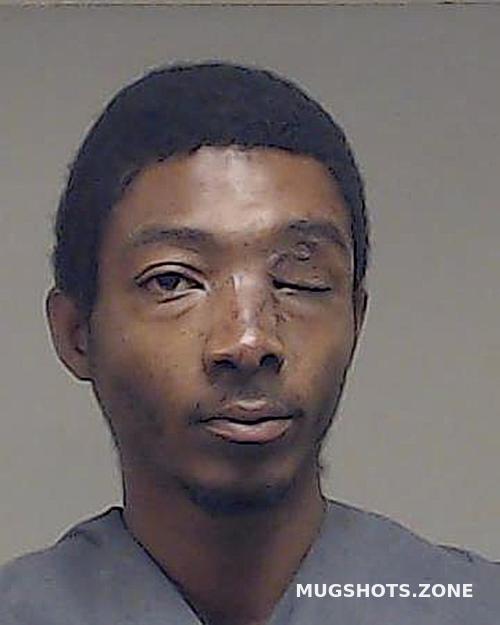 HANNAH EMANUEL SOLOMON 12/13/2024 - Collin County Mugshots Zone