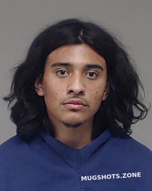 MALDONADO ALEX 01/15/2025 - Collin County Mugshots Zone