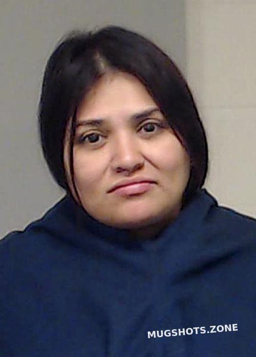 YANEZ DAFENY MAHELY 01/31/2025 - Collin County Mugshots Zone