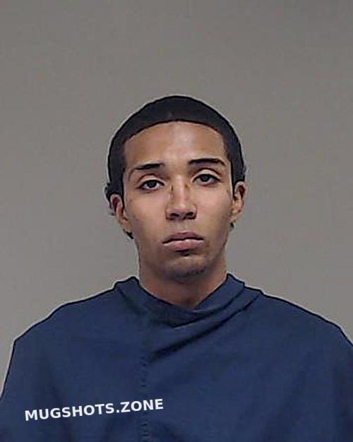 HOWARD RIES ALEXANDER 01/31/2025 - Collin County Mugshots Zone