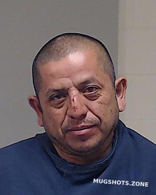 DESANTIAG JULIO CESAR 02/15/2025 - Collin County Mugshots Zone