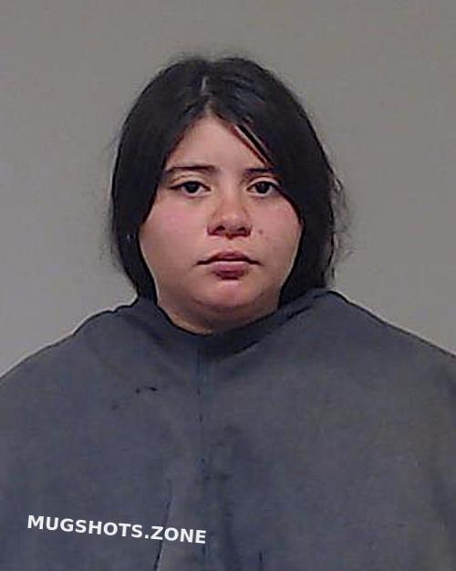 SAMBRANO BRANDY LEE 03/03/2025 - Collin County Mugshots Zone