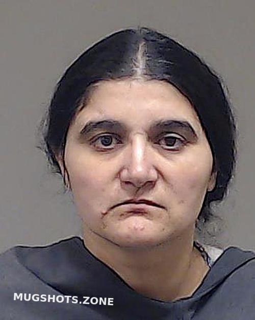 IANCU IOANA CATI 03/21/2025 - Collin County Mugshots Zone