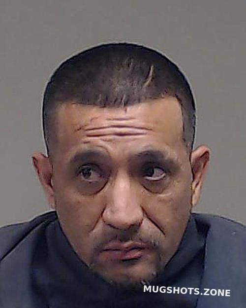 CASTILLO NESTOR DANIEL 04/16/2025 - Collin County Mugshots Zone