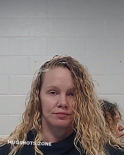 REYES MAEGAN NICOLE 04/23/2025 - Collin County Mugshots Zone