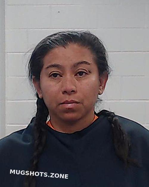 REYES RIVAS KAREN DORA ALICIA 04/23/2025 - Collin County Mugshots Zone