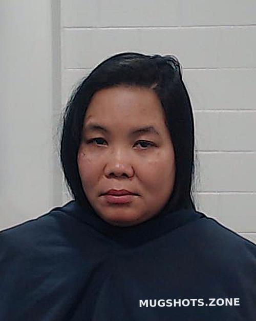 MYINT MOE 04/24/2025 - Collin County Mugshots Zone