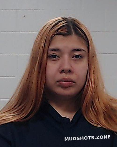 PEREZ ELIZA SIERRA 04/28/2025 - Collin County Mugshots Zone