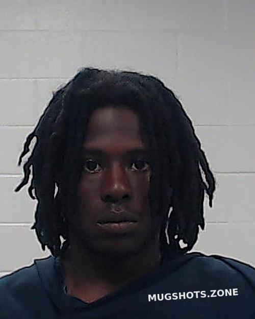 ANDERSON TRAVION 04/29/2025 - Collin County Mugshots Zone