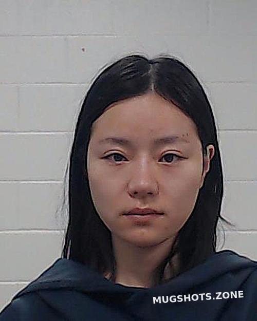 YANG CHEN 05/14/2025 - Collin County Mugshots Zone