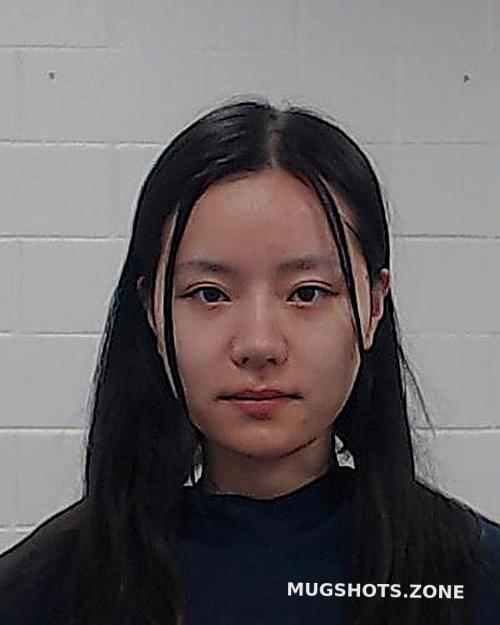 YANG CHEN 05/16/2025 - Collin County Mugshots Zone