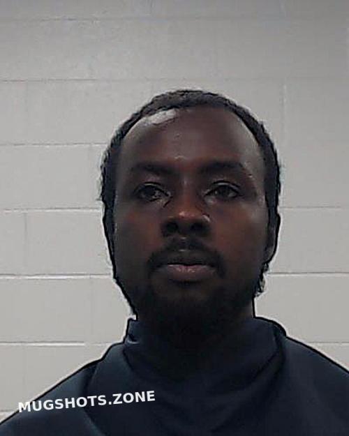 MERISH BESHARA ABDELKARIM 05/30/2025 - Collin County Mugshots Zone