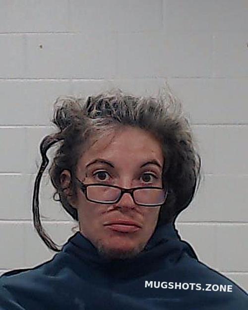 REESON AMBER LEE 06/08/2025 - Collin County Mugshots Zone