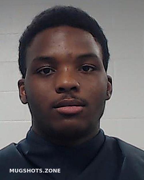 MORGAN JAMIE 06/20/2025 - Collin County Mugshots Zone