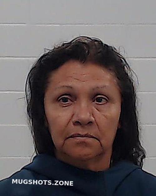 CASTILLO FLORENTINA 07/01/2025 - Collin County Mugshots Zone