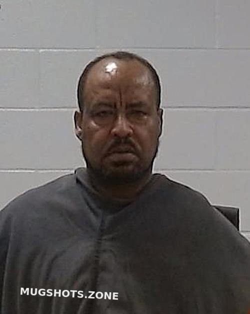 ROBELLE HAILU KEFENI 08/12/2025 - Collin County Mugshots Zone