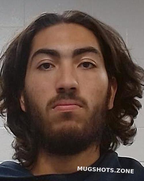 CHING SAM MOANA 11/04/2025 - Collin County Mugshots Zone