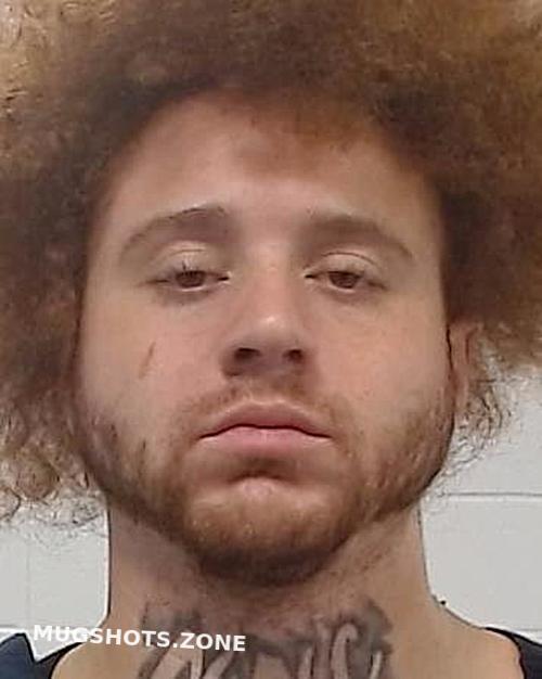 WILLIS TRENTON 11/25/2025 - Collin County Mugshots Zone