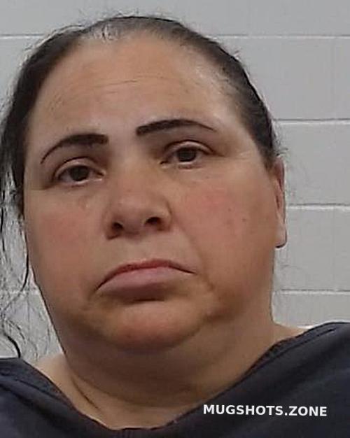 DAVIS KIMBERLY ILENE 12/06/2025 - Collin County Mugshots Zone