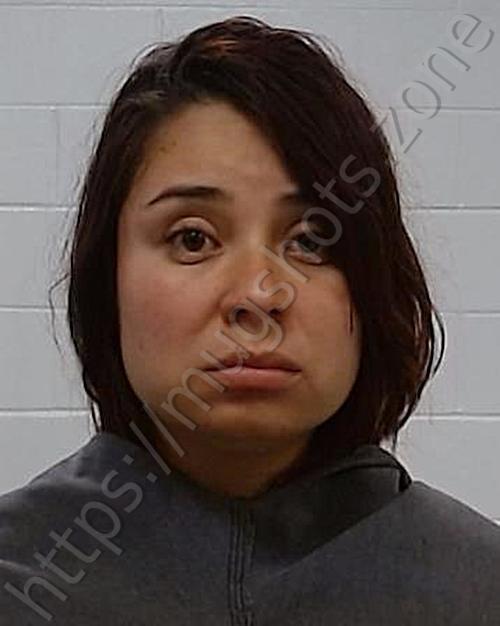 ANGULO YENNIFER 03/11/2026 - Collin County Mugshots Zone