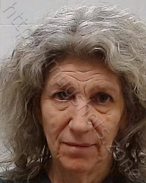 HYATT GEORGEANNE ALEXIS 03/15/2026 - Collin County Mugshots Zone